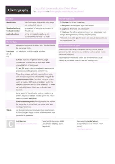 Castles & Crusades Cheat Sheet by Red Dice Diaries - Download free from ...