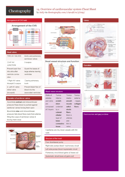 2563 Education Cheat Sheets - Cheatography.com: Cheat Sheets For Every ...