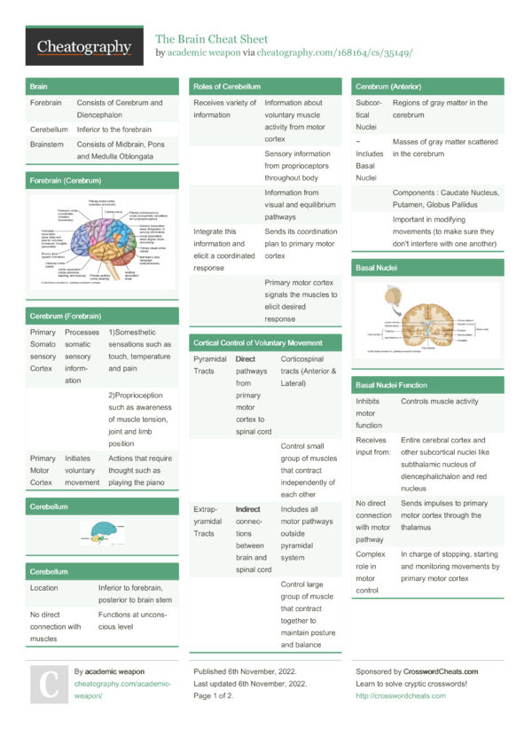 The Brain Cheat Sheet by academic weapon - Download free from Cheatography - Cheatography.com ...