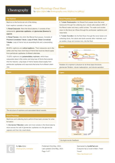 Respiratory System Cheat Sheet by Ajita - Download free from ...