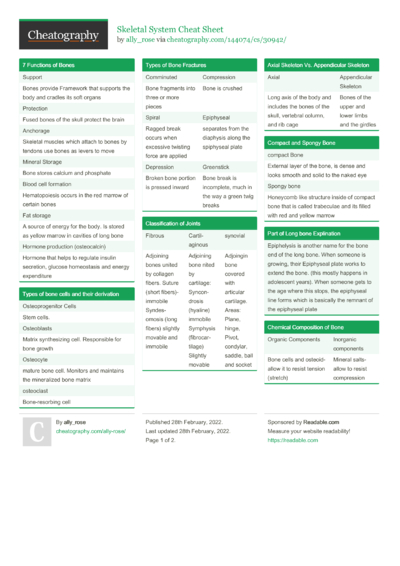 83 Anatomy Cheat Sheets - Cheatography.com: Cheat Sheets For Every Occasion