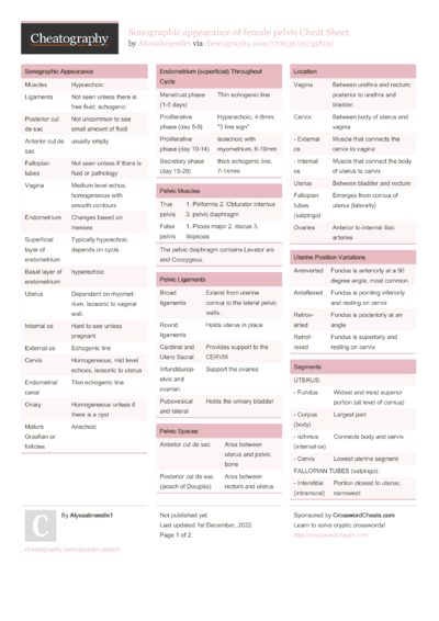 3 Pelvis Cheat Sheets - Cheatography.com: Cheat Sheets For Every Occasion