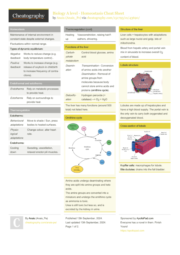 Biology A level - Homeostasis Cheat Sheet by Anais_Pe - Download free from Cheatography ...