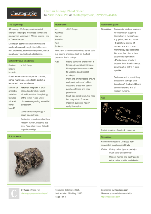 Human Lineage Cheat Sheet By Anais Pe Download Free From Cheatography