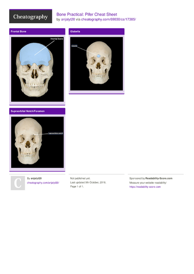 30 Anatomy Cheat Sheets - Cheatography.com: Cheat Sheets For Every Occasion