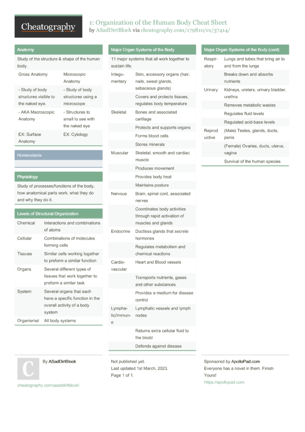 1 Organization Of The Human Body Cheat Sheet By ASadDirtBlock 1 Organization Of The Human Body Cheat Sheet By ASadDirtBlock