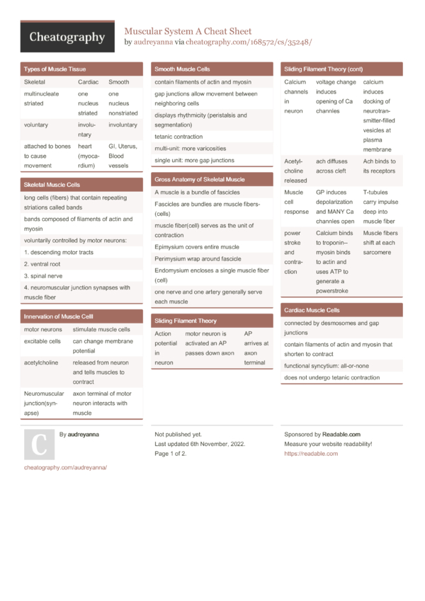 Muscular System A Cheat Sheet by audreyanna - Download free from ...