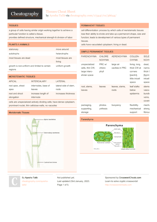 Tissues Cheat Sheet by Ayesha Talib - Download free from Cheatography ...