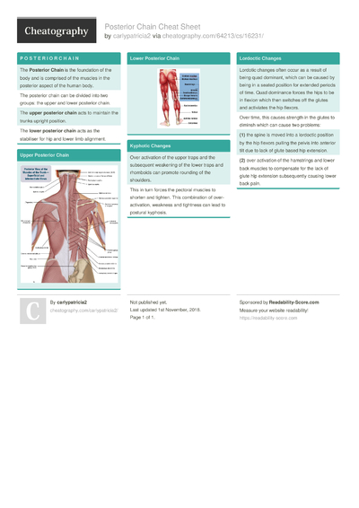 30 Anatomy Cheat Sheets - Cheatography.com: Cheat Sheets For Every Occasion