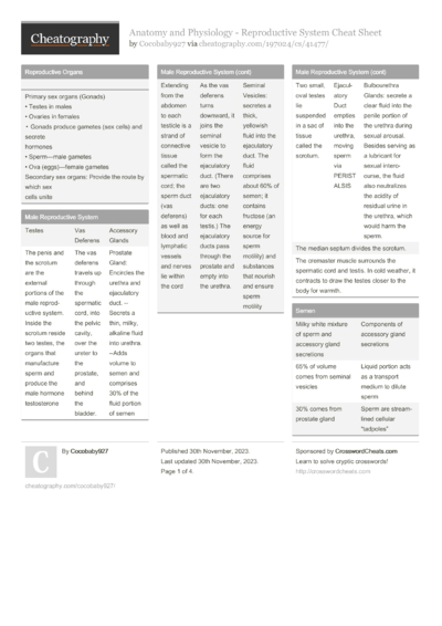 83 Anatomy Cheat Sheets - Cheatography.com: Cheat Sheets For Every Occasion
