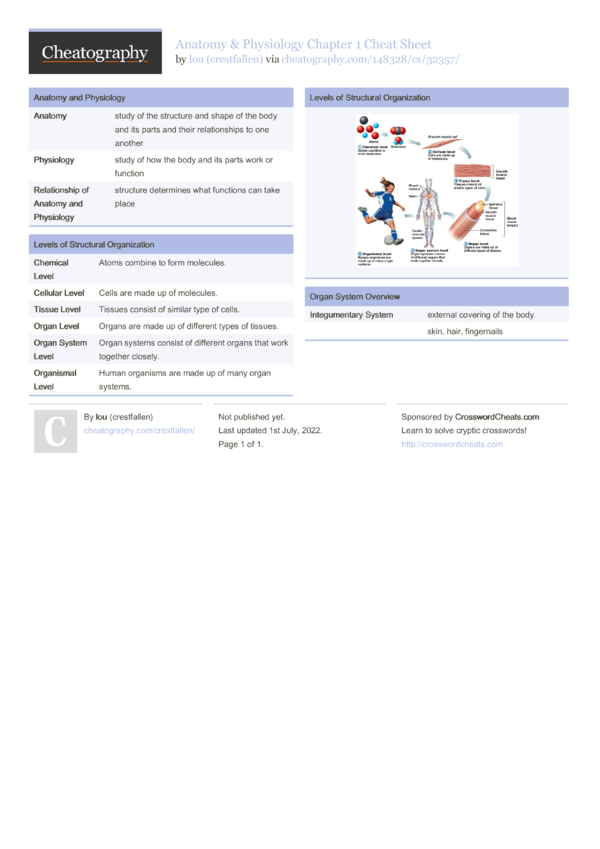 Anatomy Physiology Chapter 1 Cheat Sheet By Crestfallen Download 