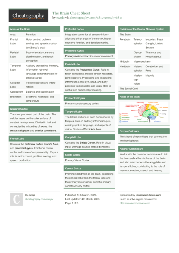 The Brain Cheat Sheet by cwojo - Download free from Cheatography - Cheatography.com: Cheat ...