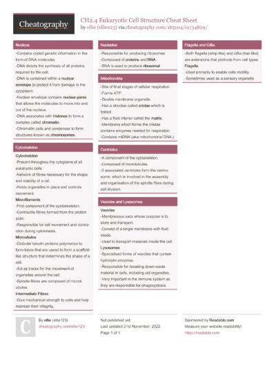 30 Ocr Cheat Sheets - Cheatography.com: Cheat Sheets For Every Occasion