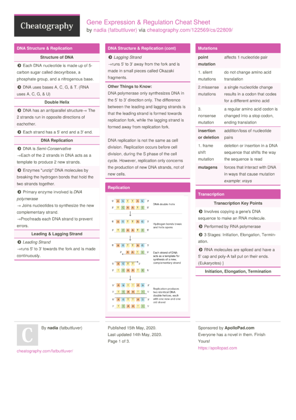 Gene Expression & Regulation Cheat Sheet by fatbuttluver - Download ...