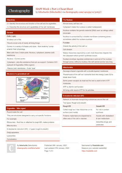 83 Anatomy Cheat Sheets - Cheatography.com: Cheat Sheets For Every Occasion