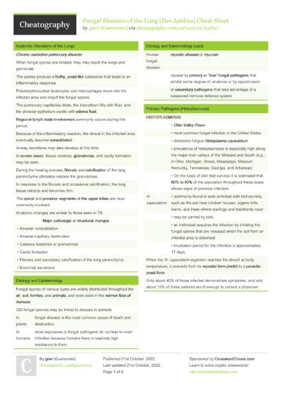 Cheat Sheets Matching "xping Test query for encyclopedia answer ...