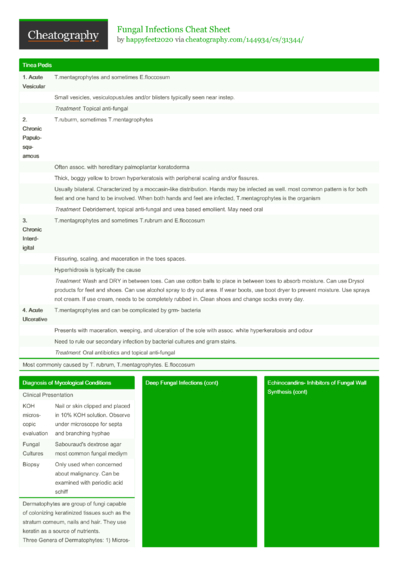 Tissue Repair and Wound Healing Cheat Sheet by happyfeet2020 - Download ...