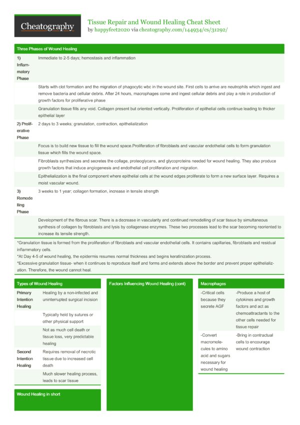 Tissue Repair and Wound Healing Cheat Sheet by happyfeet2020 - Download ...