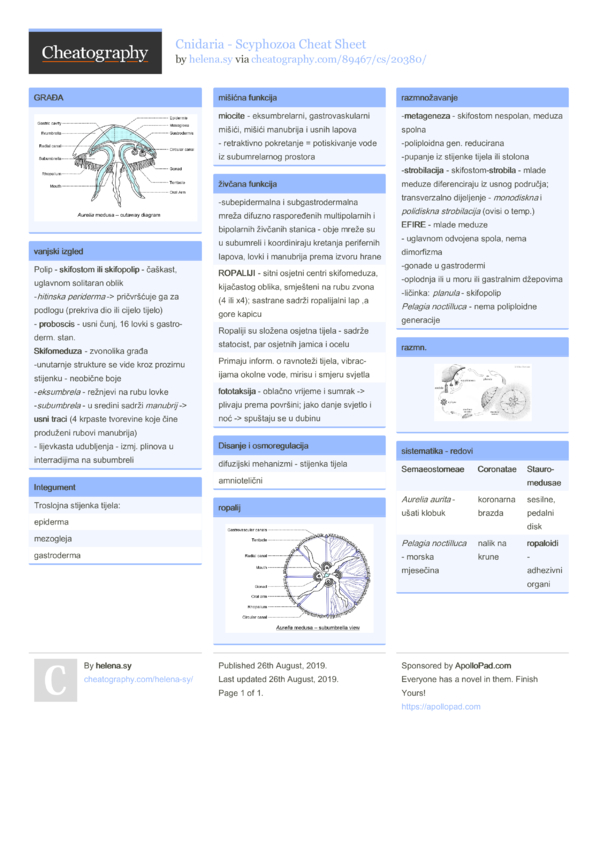 Cnidaria - Scyphozoa Cheat Sheet by helena.sy - Download free from ...