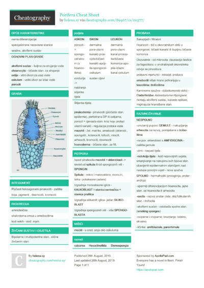 Cnidaria-anthozoa Cheat Sheet by helena.sy - Download free from ...