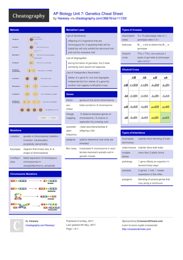 AP Biology Unit 7: Genetics Cheat Sheet by hlewsey - Download free from ...