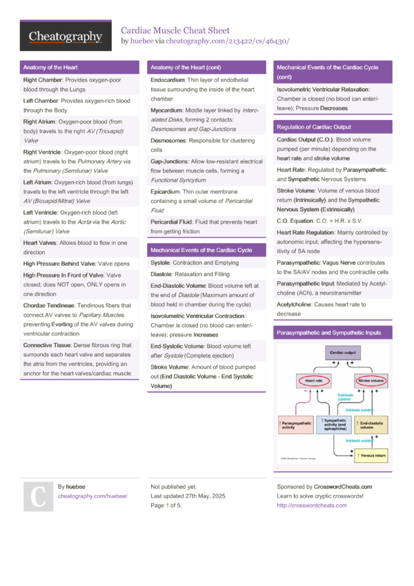 Cardiac Muscle Cheat Sheet by huebee - Download free from Cheatography ...