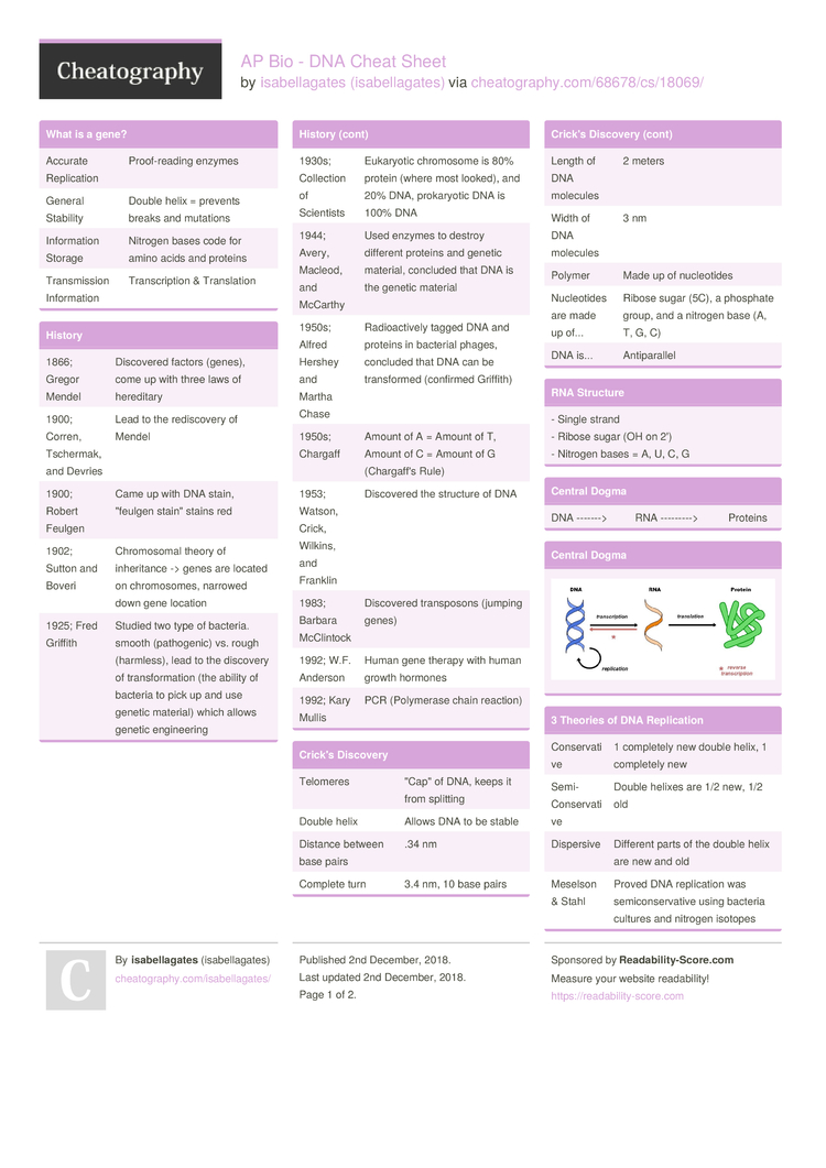Dna Replication Model Ap Bio