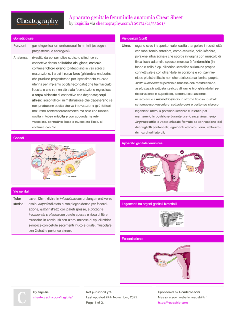 Apparato Genitale Femminile Anatomia Cheat Sheet By Itsgiulia
