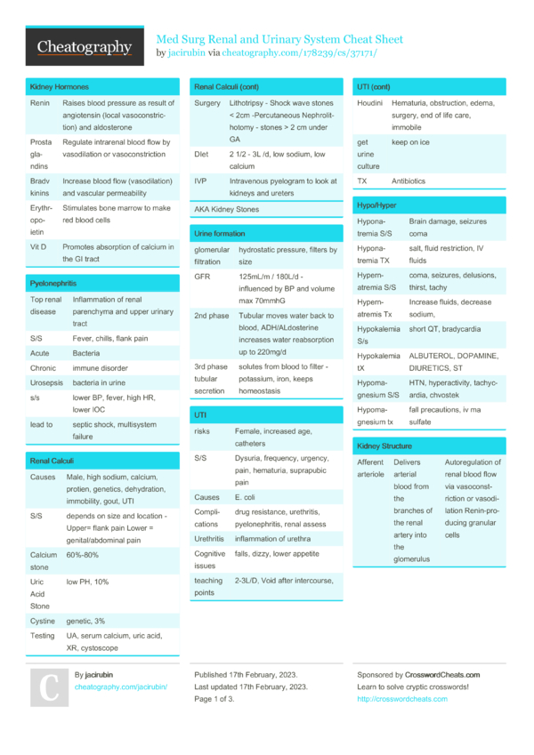 Med Surg Renal and Urinary System Cheat Sheet by jacirubin - Download ...