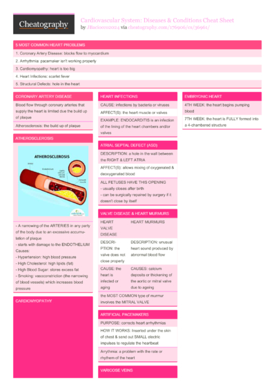 38 Physiology Cheat Sheets - Cheatography.com: Cheat Sheets For Every ...