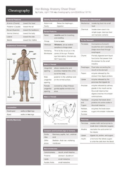 3156 Education Cheat Sheets - Cheatography.com: Cheat Sheets For Every ...