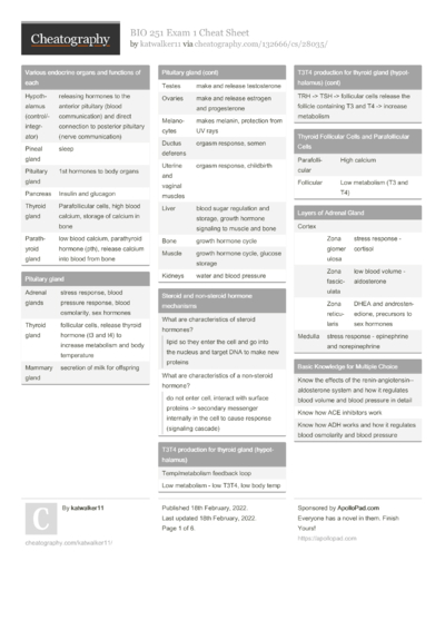 83 Anatomy Cheat Sheets - Cheatography.com: Cheat Sheets For Every Occasion