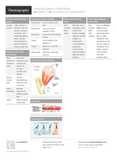 Postman Cheat Sheet by Svygor - Download free from Cheatography ...