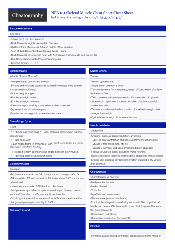 NPB 101 Skeletal Muscle Cheat Sheet Cheat Sheet by kbui04 - Download ...