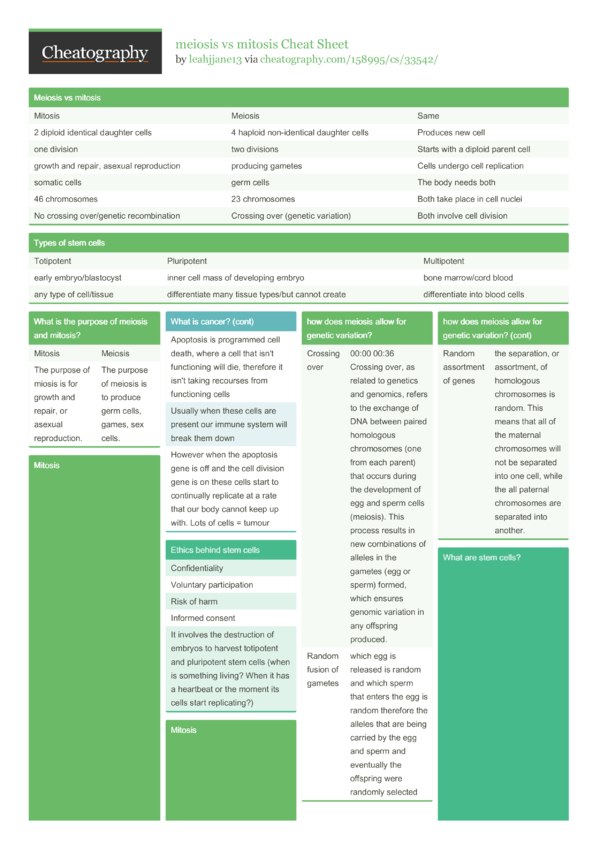 Biology Mitosis And Meiosis Cheat Sheet By Corinne