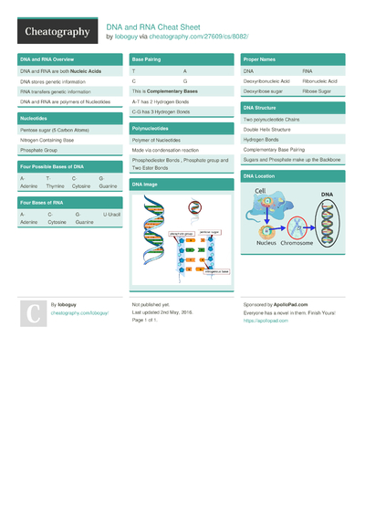 24 Dna Cheat Sheets - Cheatography.com: Cheat Sheets For Every Occasion