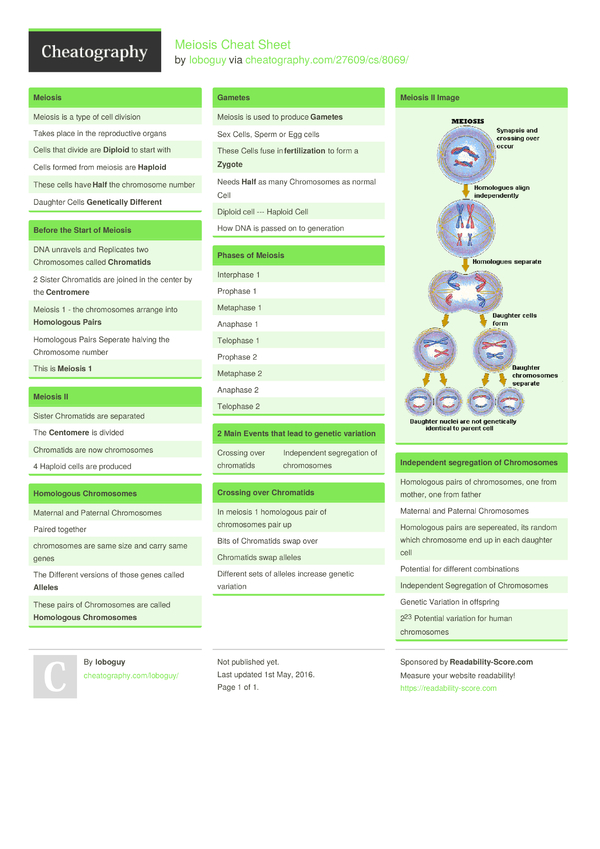 Meiosis Cheat Sheet by loboguy - Download free from Cheatography ...