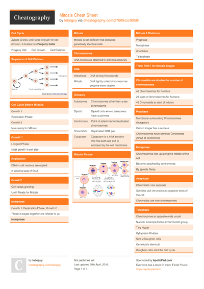 9 Mitosis Cheat Sheets - Cheatography.com: Cheat Sheets For Every Occasion