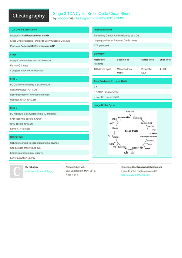 Stage 3 TCA Cycle/ Krebs Cycle Cheat Sheet by loboguy - Download free ...