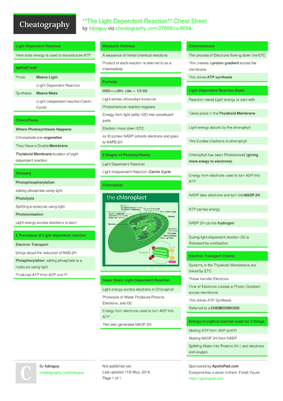 9 Photosynthesis Cheat Sheets - Cheatography.com: Cheat Sheets For ...