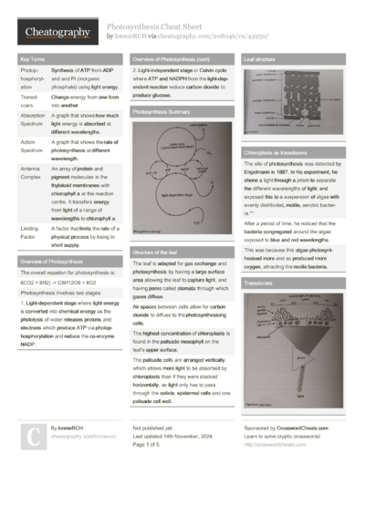 9 Photosynthesis Cheat Sheets Cheat Sheets For 7064