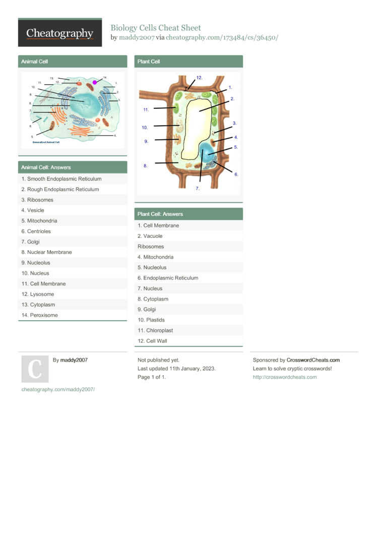 Biology Cells Cheat Sheet by maddy2007 - Download free from ...