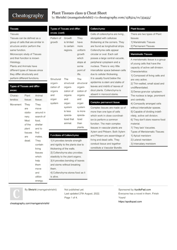 Plant Tissues Class 9 Cheat Sheet By Mamgainshrishti Download Free