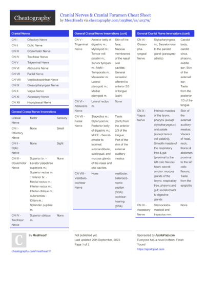 83 Anatomy Cheat Sheets - Cheatography.com: Cheat Sheets For Every Occasion
