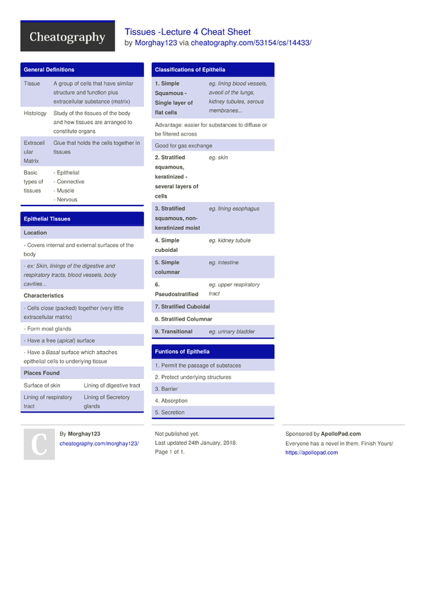 Tissues -Lecture 4 Cheat Sheet by Morghay123 - Download free from Cheatography - Cheatography ...