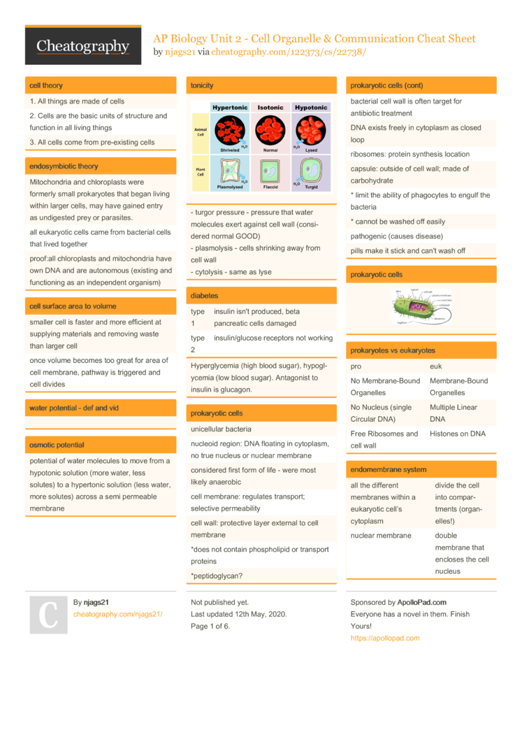 Unit 2 Cells Notes Biology Revision Notes Unit 2 | Biology Year 11