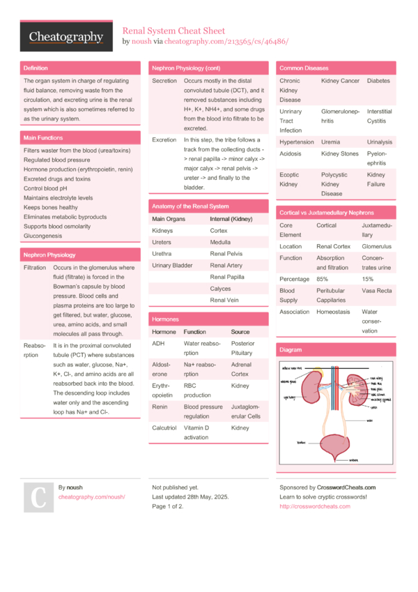 Renal System Cheat Sheet by noush - Download free from Cheatography - Cheatography.com: Cheat ...