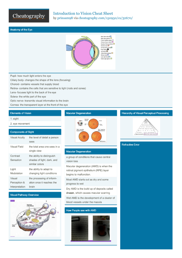 Introduction to Vision Cheat Sheet by prinsam98 - Download free from ...