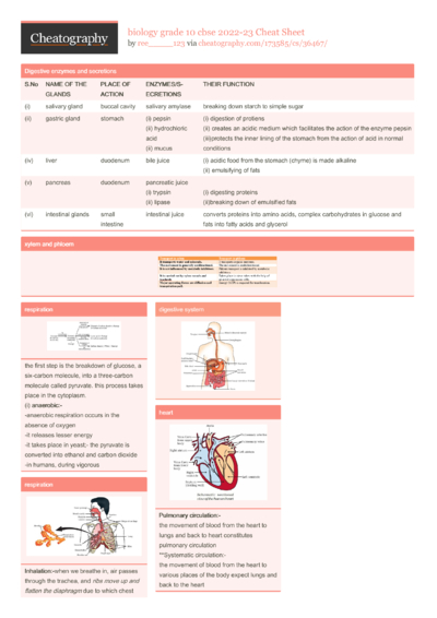 Sublime Text 3 OSX Cheat Sheet by landoncope - Download free from ...