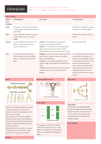 biology grade 10 cbse 2022-23 Cheat Sheet by ree_____123 - Download ...